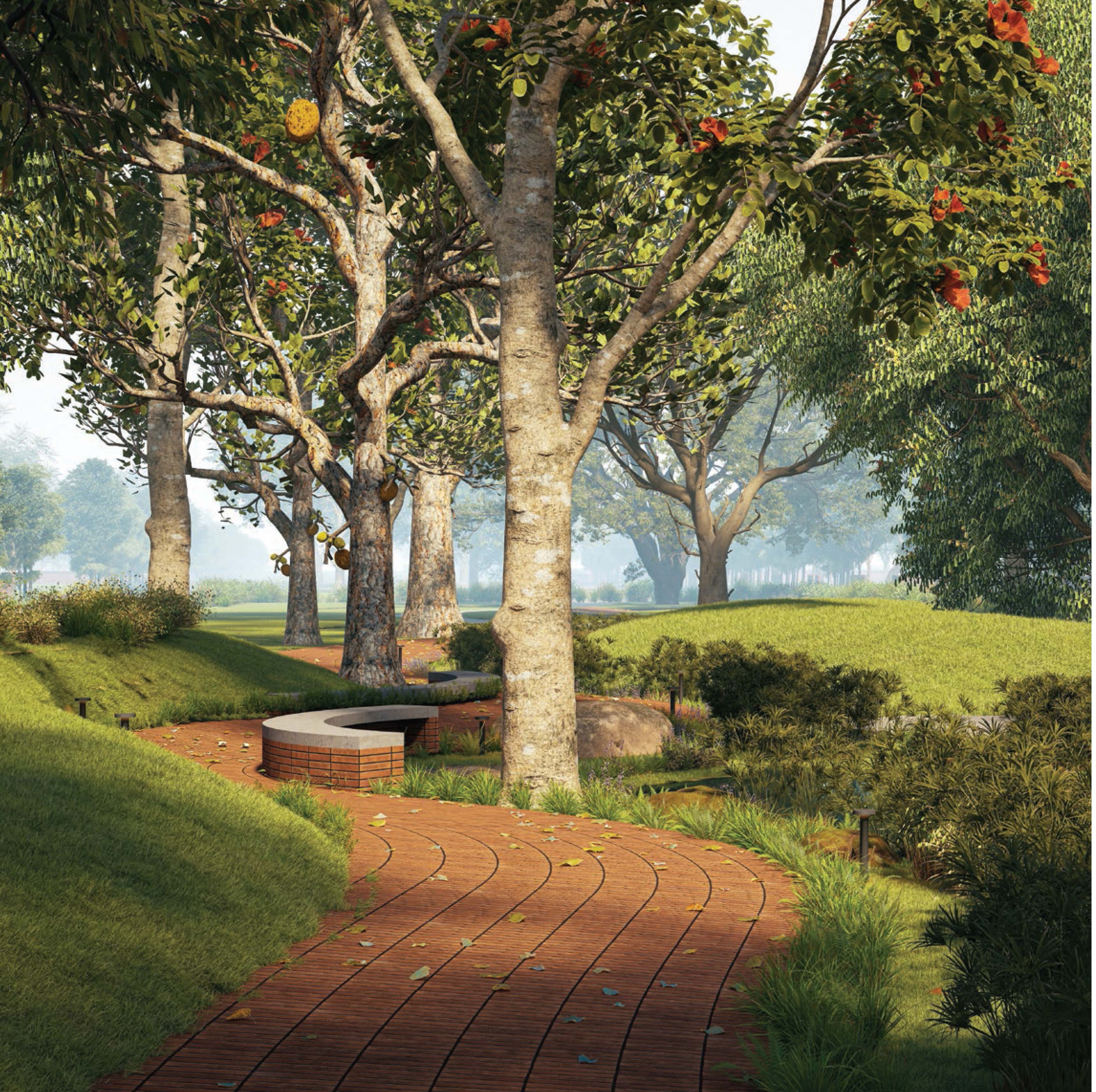 Total Environment Plots - Tangled Up In Green Bangalore